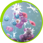 3D Predict Platform | Kiyatec